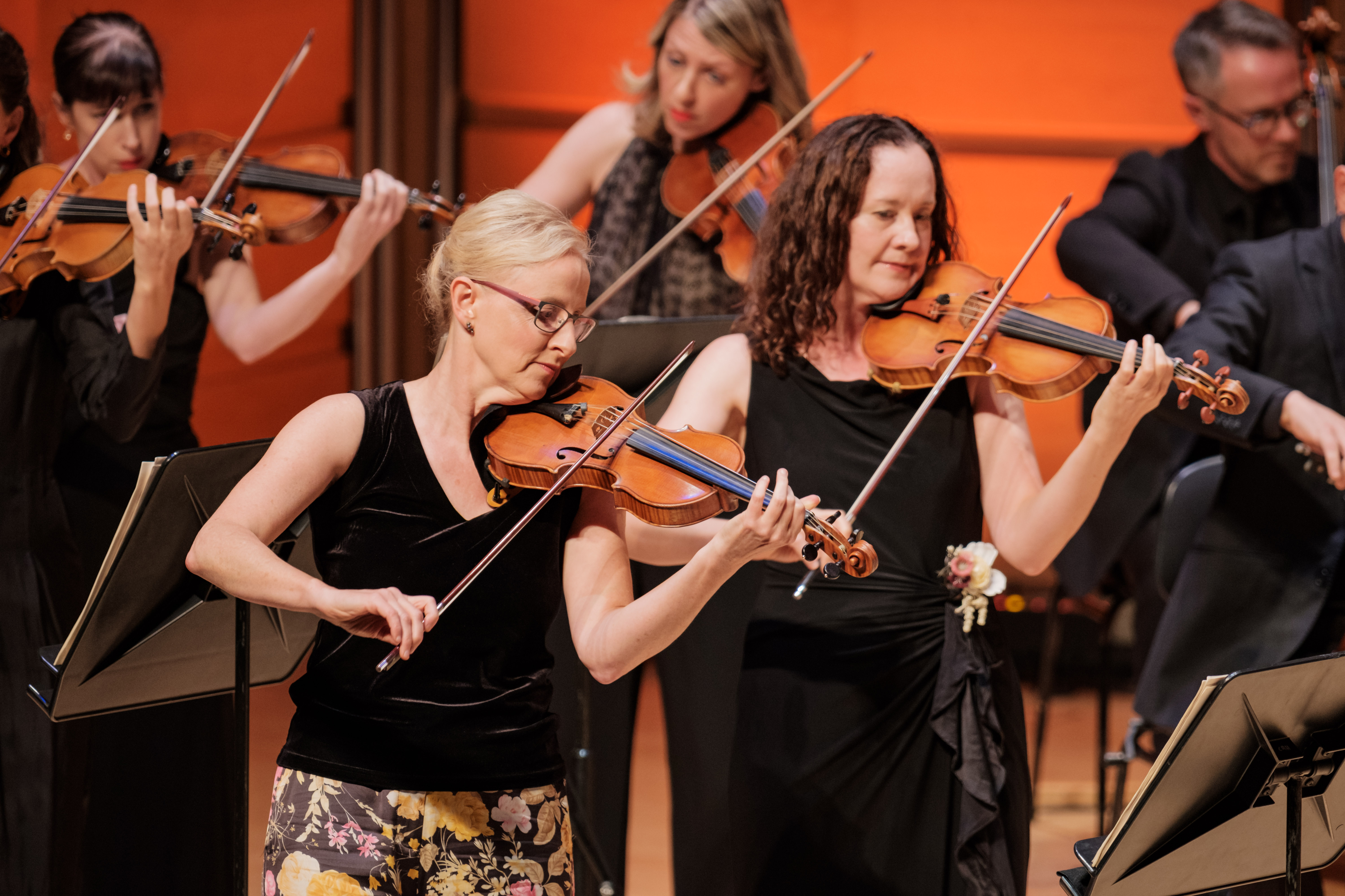 Northern Serenades | Australian Romantic & Classical Orchestra | Night ...